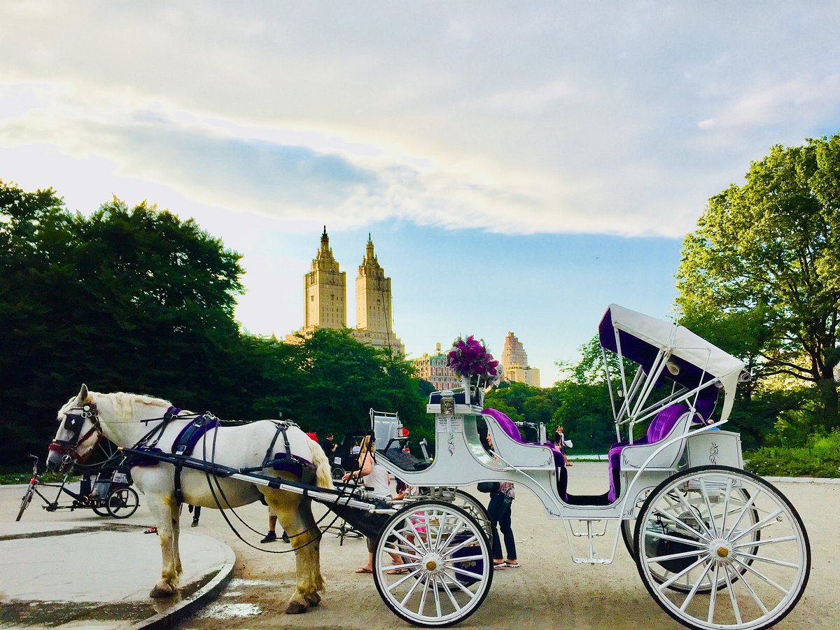 2025年 Nyc Adventures 出発前に知っておくべきことすべて トリップアドバイザー