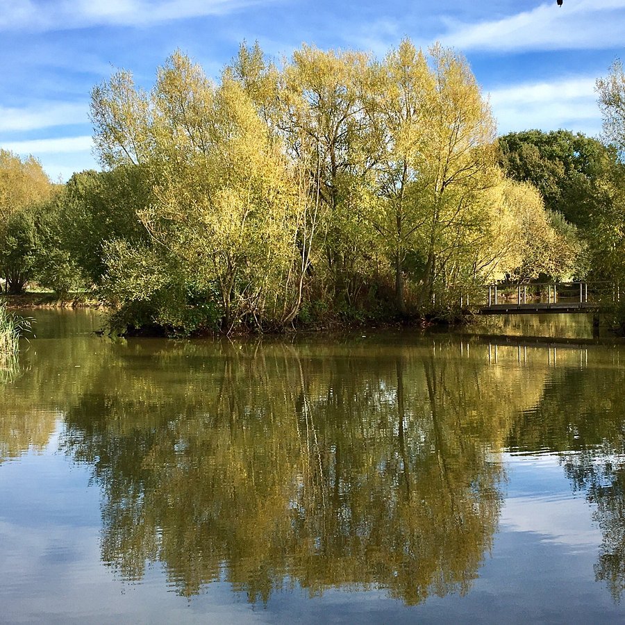 Blacklands Farm Campsite Campground Reviews Henfield West Sussex