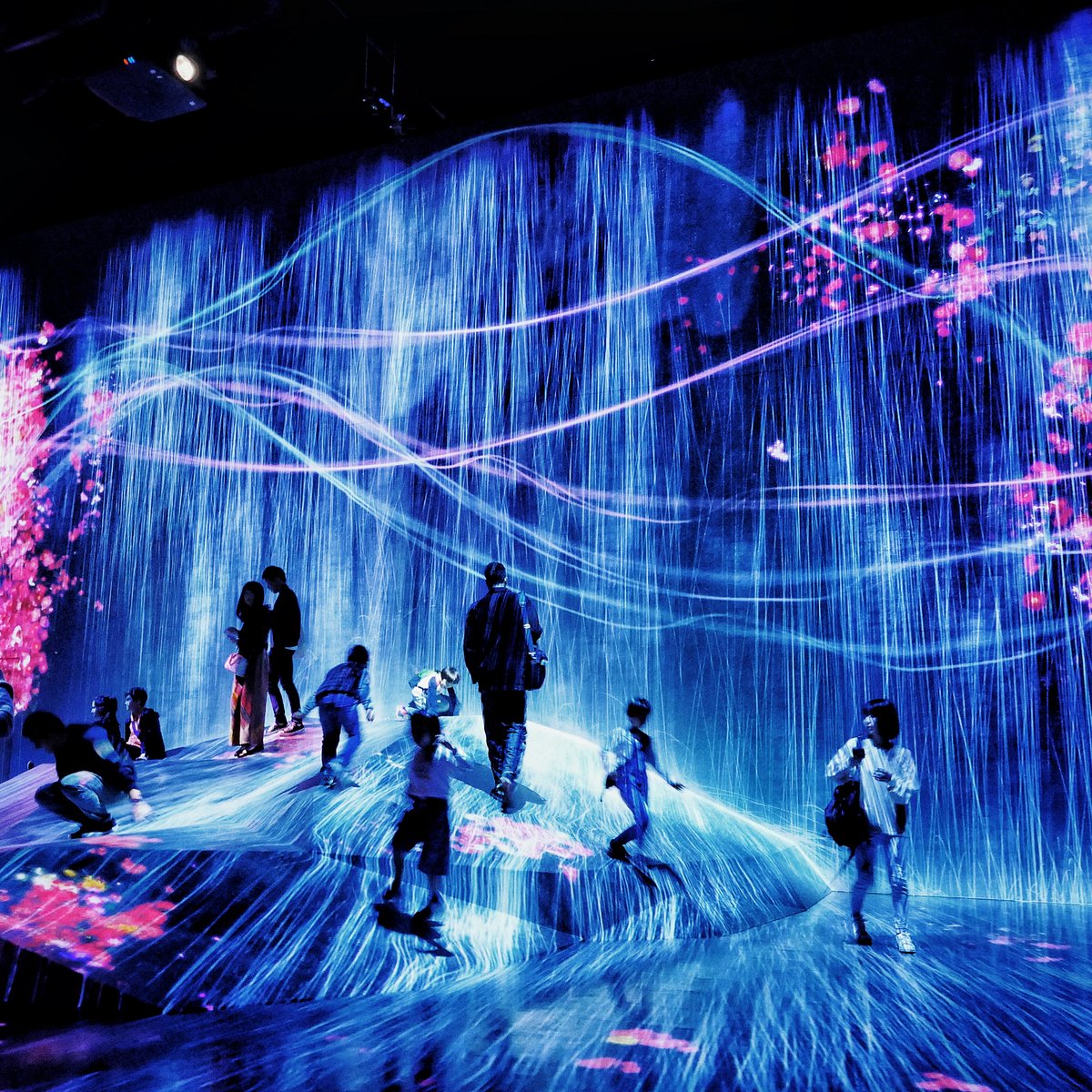 Teamlab Borderless Koto All You Need To Know Before You Go