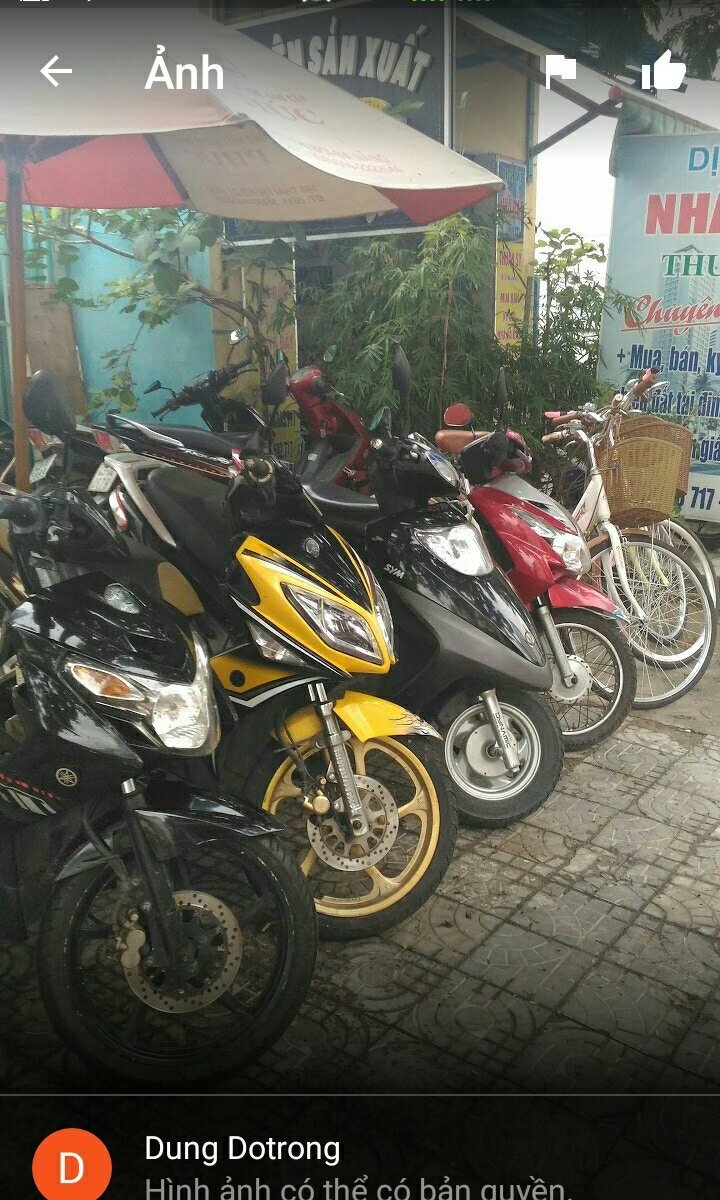 2025年 Mango Motorbike Rentals 出発前に知っておくべきことすべて トリップアドバイザー