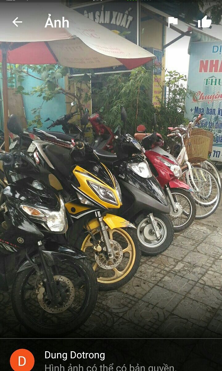 2025年 Mango Motorbike Rentals 出発前に知っておくべきことすべて トリップアドバイザー