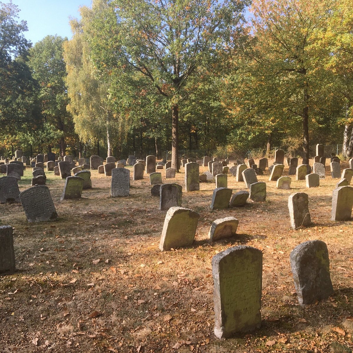 Der jüdische Friedhof (2025) - All You Need to Know BEFORE You Go (with ... Der jüdische Friedhof (2025) - All You Need to Know BEFORE You Go (with ...