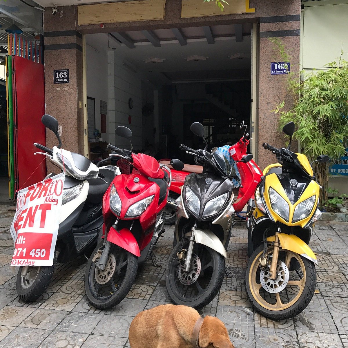2024年 Mango Motorbike Rentals 出発前に知っておくべきことすべて トリップアドバイザー