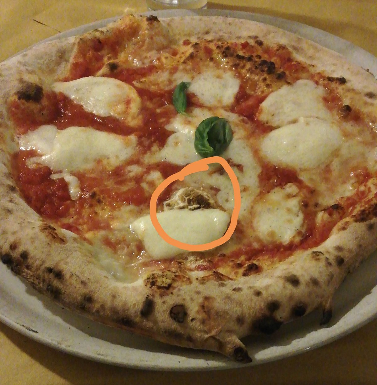 Pizzeria Da Brigida Foggia Ristorante Recensioni Numero Di Telefono And Foto Tripadvisor