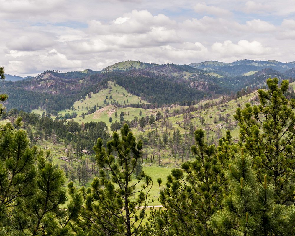 The 5 Best Things To Do In Wind Cave National Park 2023 With Photos