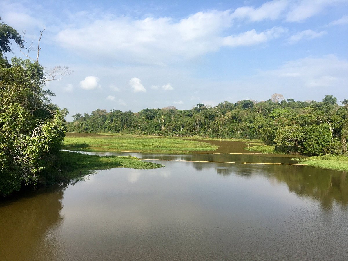 Jungle Land Panama Floating Lo Gamboa Panama Fotos En Reviews Tripadvisor