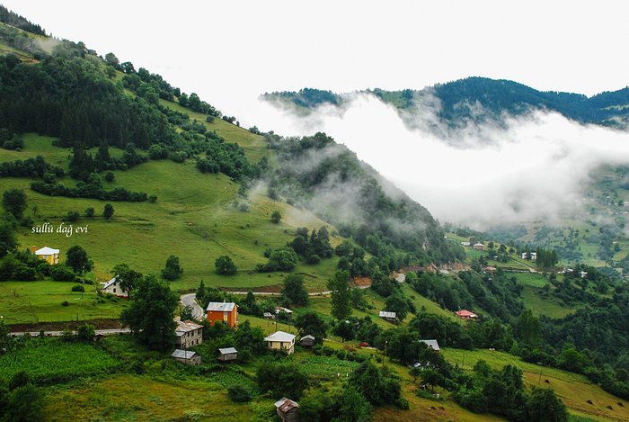 SULLU DAG EVI: Bewertungen, Fotos & Preisvergleich (Giresun, Türkei ... SULLU DAG EVI: Bewertungen, Fotos & Preisvergleich (Giresun, Türkei ...