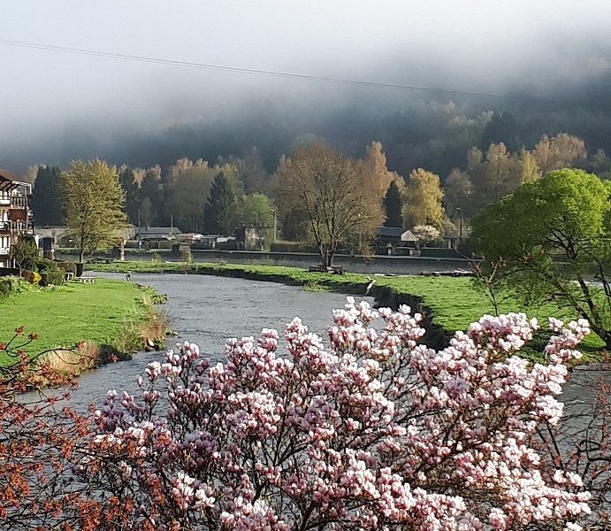 Bohan sur Semois Tourism (2021): Best of Bohan sur Semois, Belgium ... Bohan sur Semois Tourism (2021): Best of Bohan sur Semois, Belgium ...