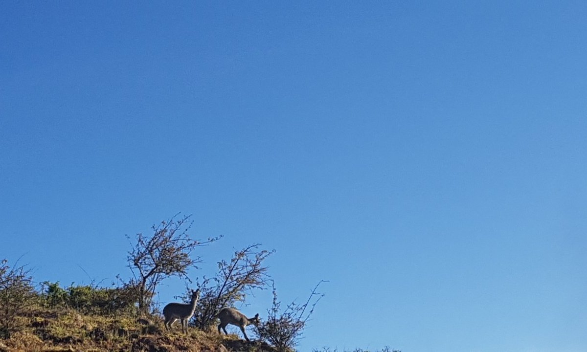 Trip Ethiopia Tours 2025 All You Need To Know Before You Go W