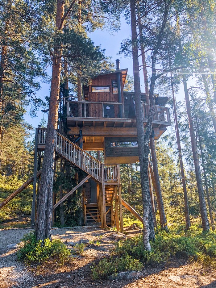 TREHYTTENE I GJERSTAD (Gjerstad Municipality, Noruega) - opiniones y ... TREHYTTENE I GJERSTAD (Gjerstad Municipality, Noruega) - opiniones y ...