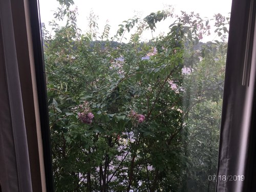 Holiday Inn Express And Suites Sanford An Ihg Hotel Prices And Reviews Nc