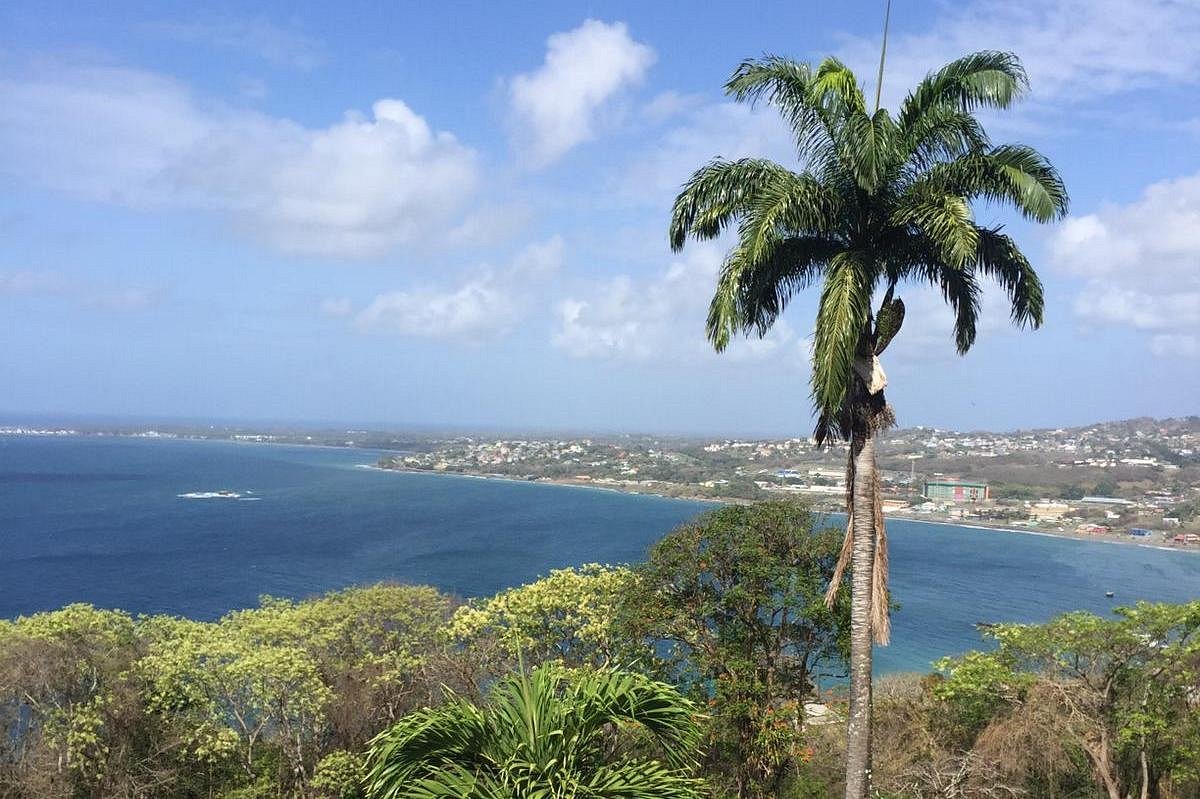 Tobago Fun (2025) - All You Need to Know BEFORE You Go (with Reviews) Tobago Fun (2025) - All You Need to Know BEFORE You Go (with Reviews)