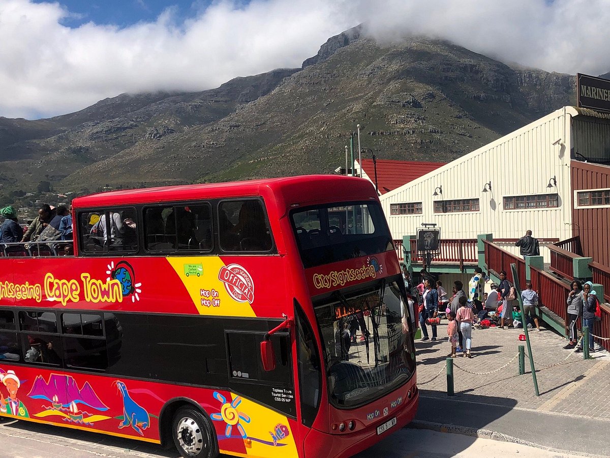 Cape Town City Tour 2025 All You Need To Know Before You Go With