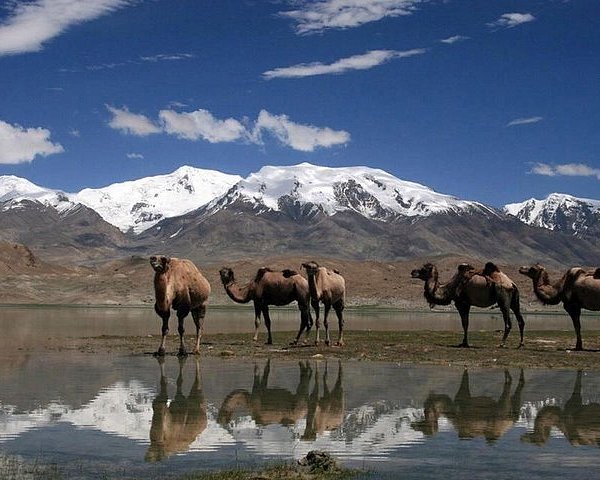 National Museum Of Tajikistan Dushanbe 2021 All You Need To Know