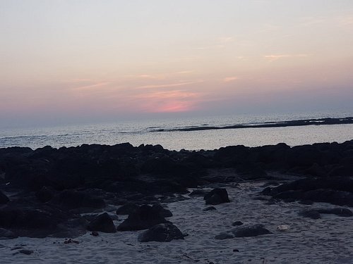 Naughty Waves Beach Resort Diveagar Maharashtra Apartment Reviews