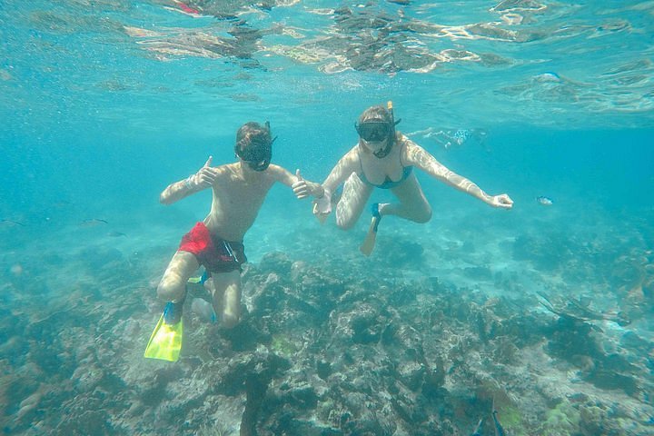 2024 Catalina Island - Full Day All Inclusive Experience 2024 Catalina Island - Full Day All Inclusive Experience