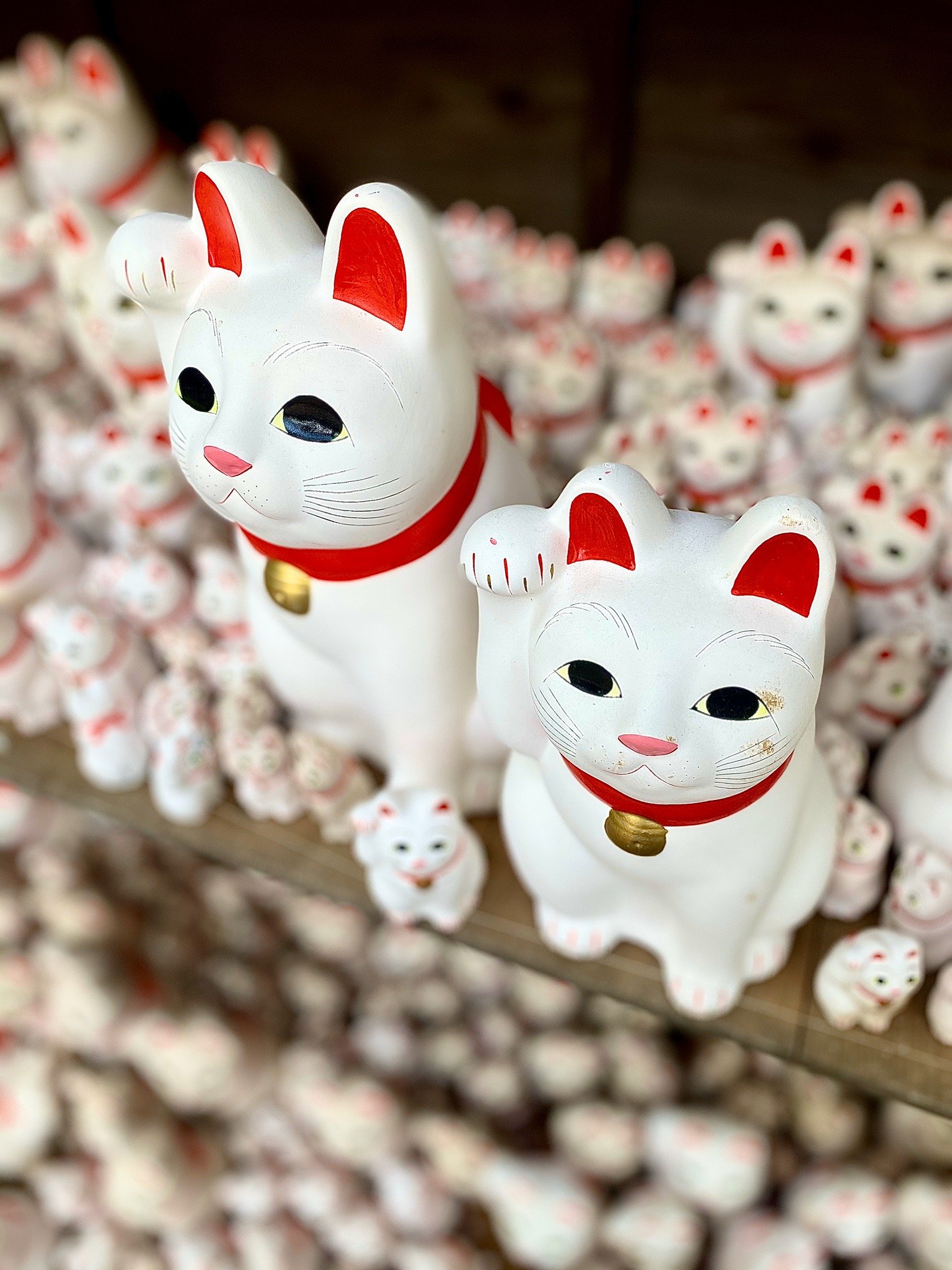 Lucky cat shrine store