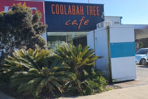 The 10 Best Cafés In Taree Updated 2024 Tripadvisor