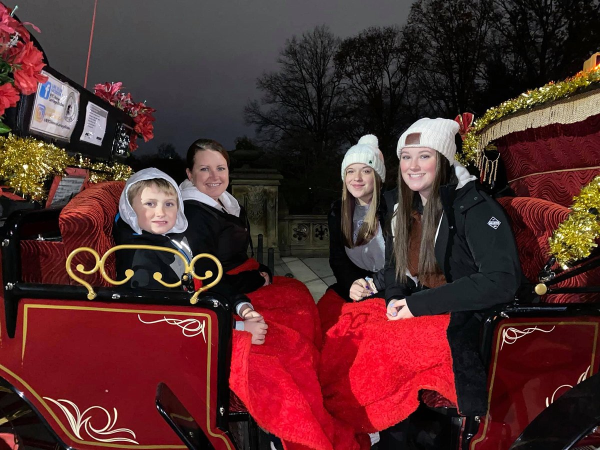 2025年 Nyc Carriage Rides 出発前に知っておくべきことすべて トリップアドバイザー