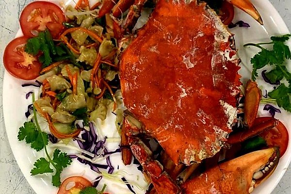 The 10 Best Restaurants In Daman And Diu Updated January 2025