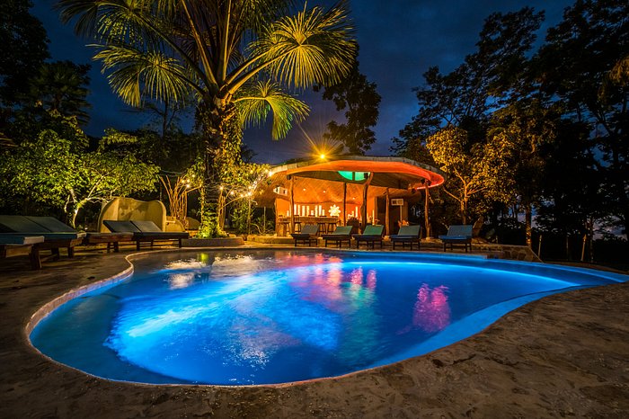 Selva Armonia Immersive Jungle Resort Opiniones Y Precios