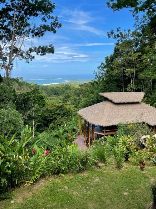 Selva Armonia Immersive Jungle Resort Opiniones Y Precios