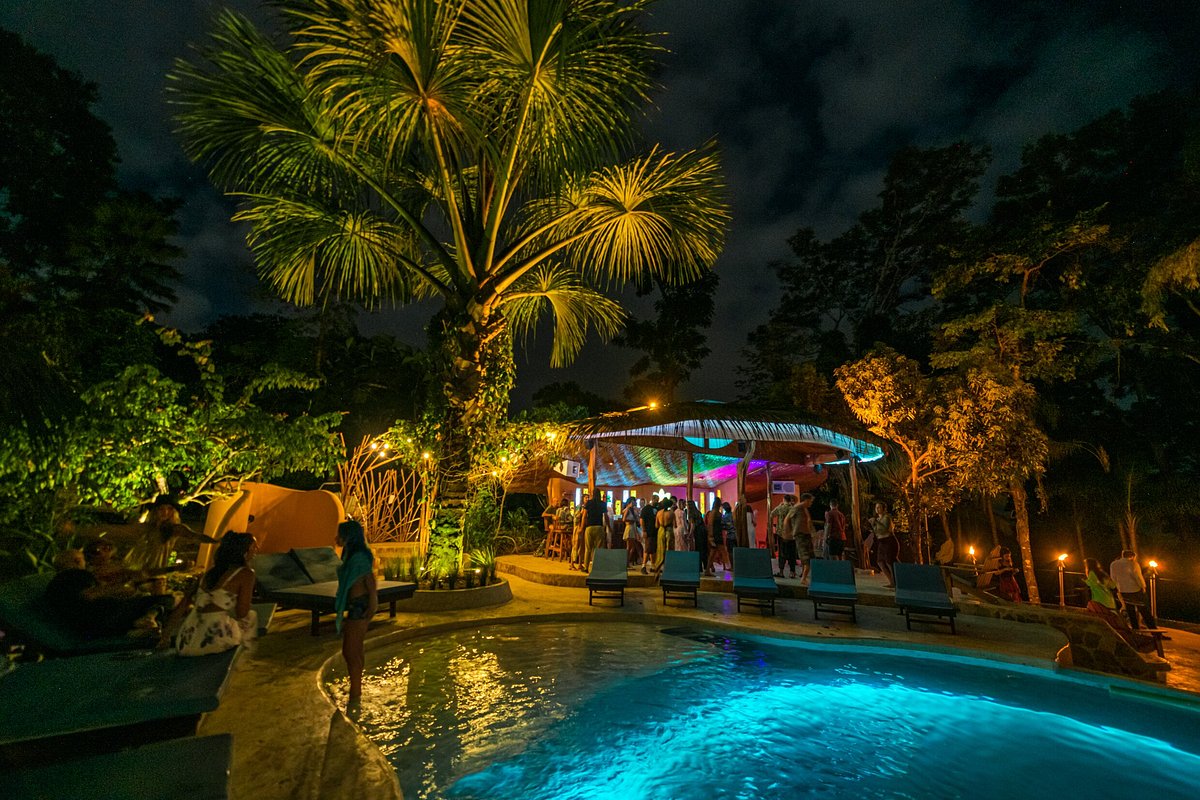 Selva Armonia Immersive Jungle Resort Pool Fotos Und Bewertungen