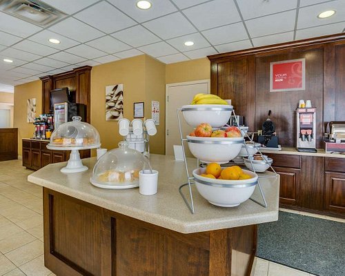 COMFORT SUITES DEER PARK PASADENA (TX): 71 fotos, comparação de preços ... COMFORT SUITES DEER PARK PASADENA (TX): 71 fotos, comparação de preços ...