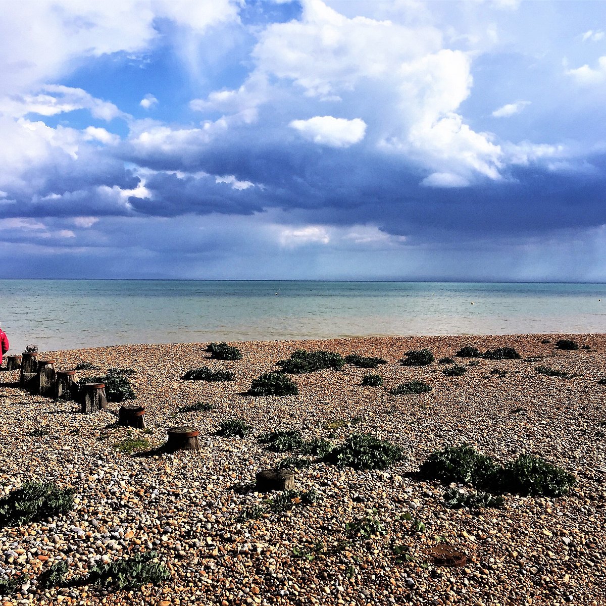Fairlight Beach And Cliffs All You Must Know Before You Go 2024