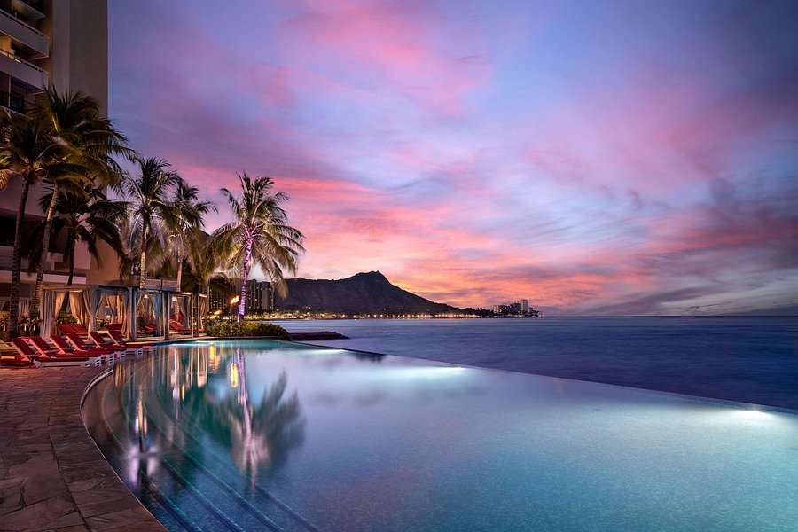 SHERATON WAIKIKI - Updated 2021 Prices & Resort Reviews (Oahu, Hawaii ... SHERATON WAIKIKI - Updated 2021 Prices & Resort Reviews (Oahu, Hawaii ...