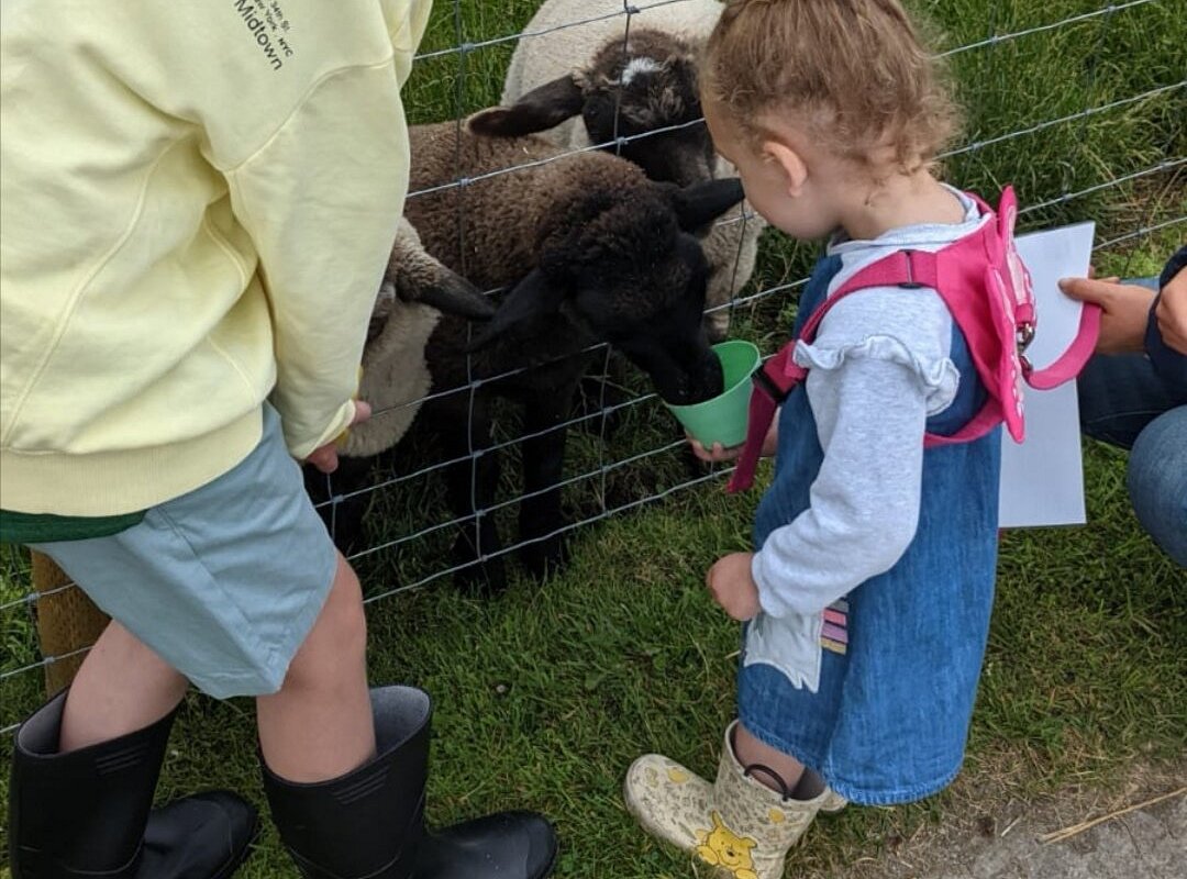 Fermanagh Fun Farm Lisbellaw All You Need To Know Before You Go