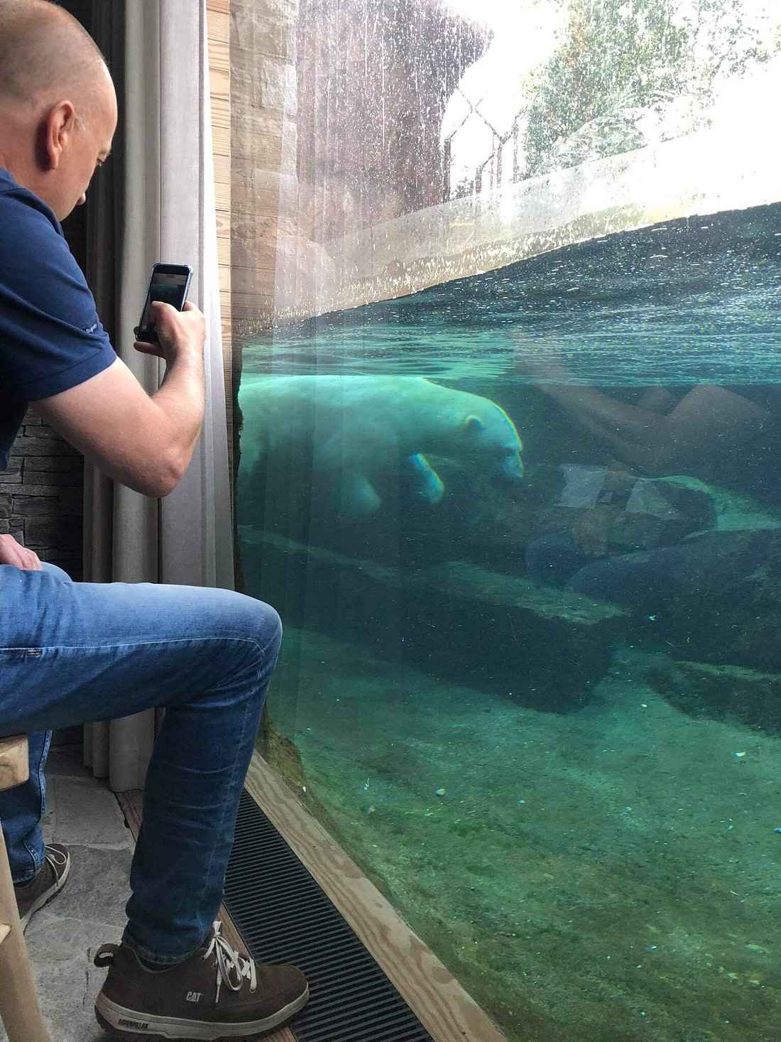 PAIRI DAIZA RESORT - Updated 2022 Hotel Reviews (Brugelette, Belgium) PAIRI DAIZA RESORT - Updated 2022 Hotel Reviews (Brugelette, Belgium)
