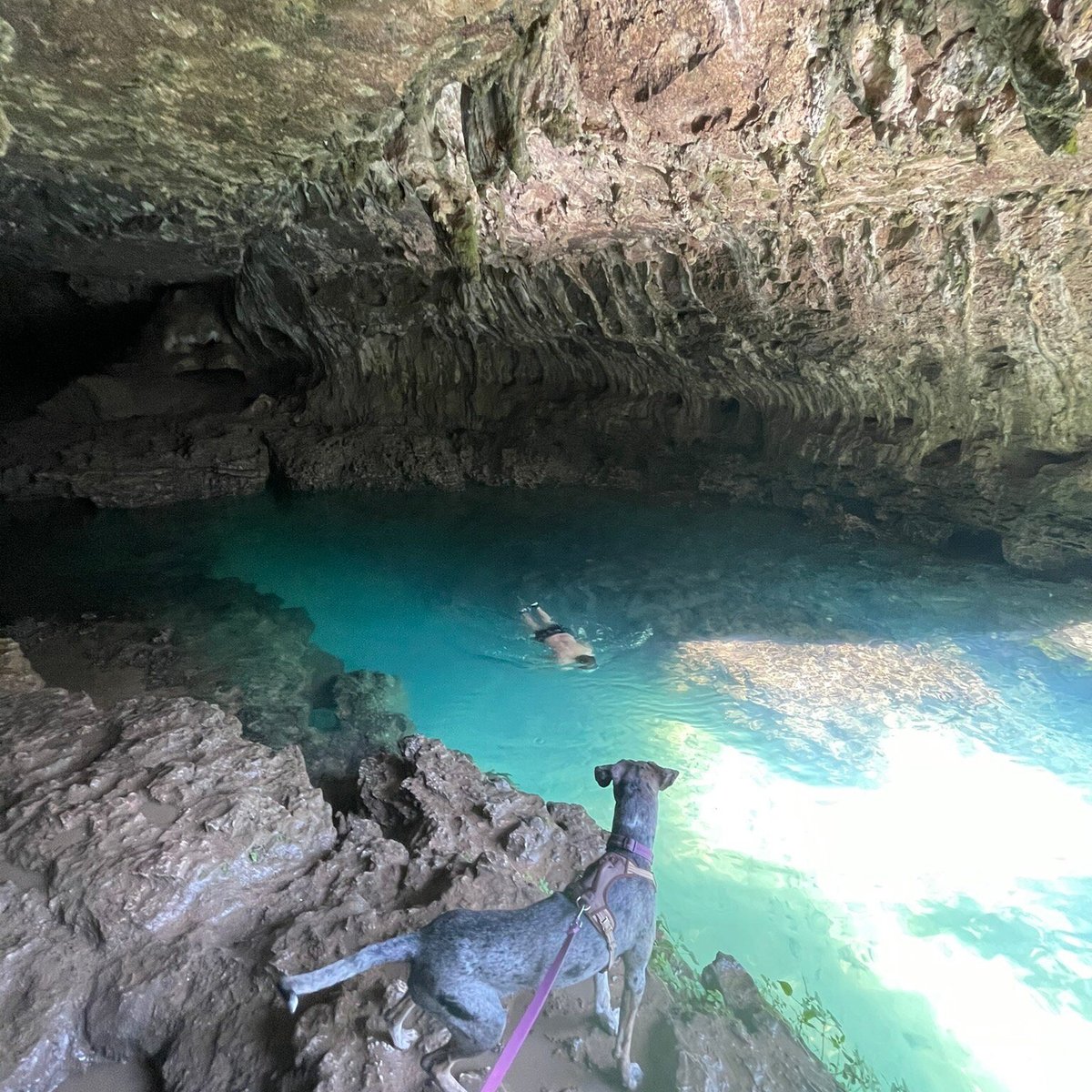 Devils Well Eminence All You Need To Know Before You Go