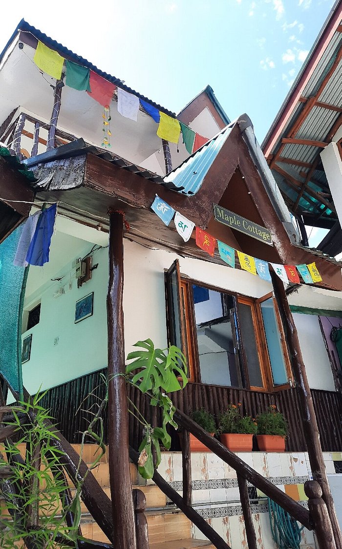 Maple Cottage Manali Prices And Lodging Reviews India