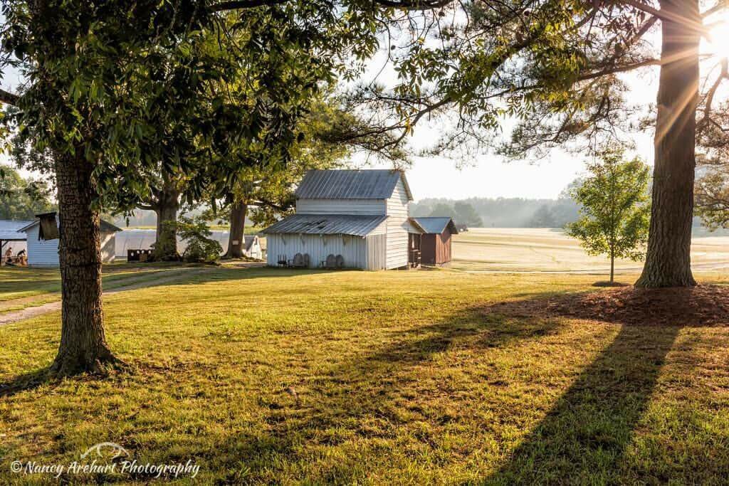 Vollmer farm store