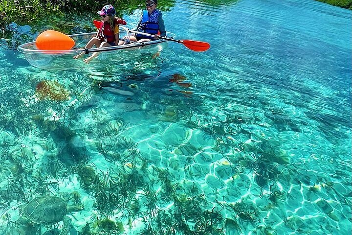 2024 Clear Kayak Mangrove Tour provided by Turks Aqua Adventures 2024 Clear Kayak Mangrove Tour provided by Turks Aqua Adventures