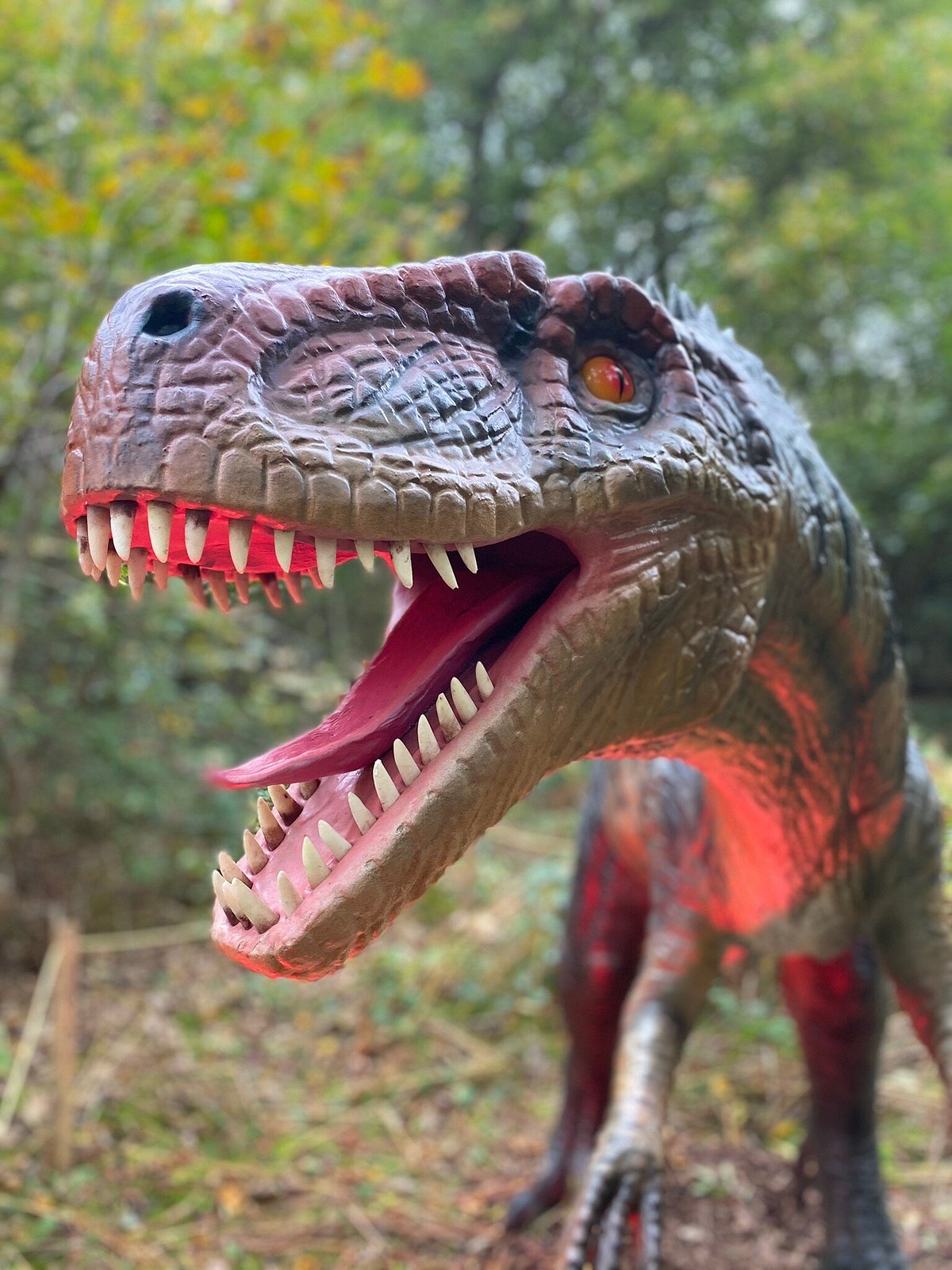 Dino Kingdom (Nottinghamshire, England) - Anmeldelser - Tripadvisor Dino Kingdom (Nottinghamshire, England) - Anmeldelser - Tripadvisor