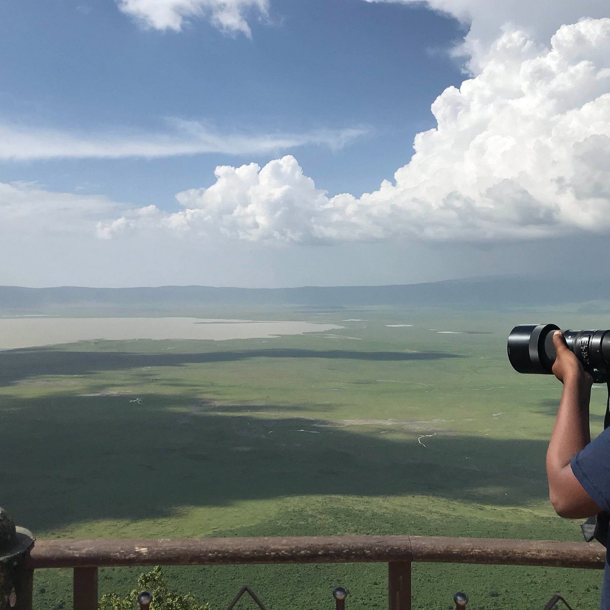 Nungunungu All You Need To Know Before You Go 2025