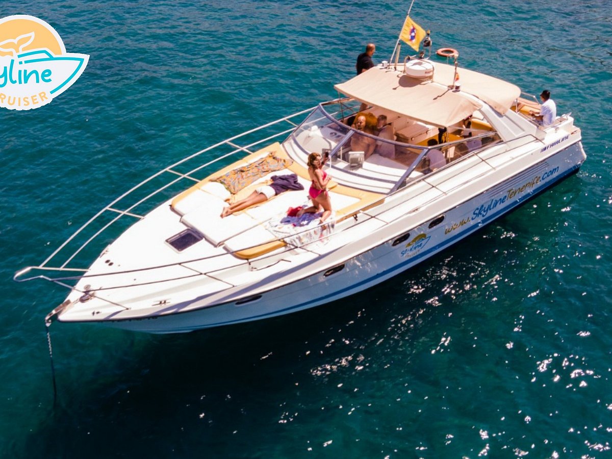 Skyline Cruiser Tenerife Playa De Las Americas Ce Quil Faut Savoir