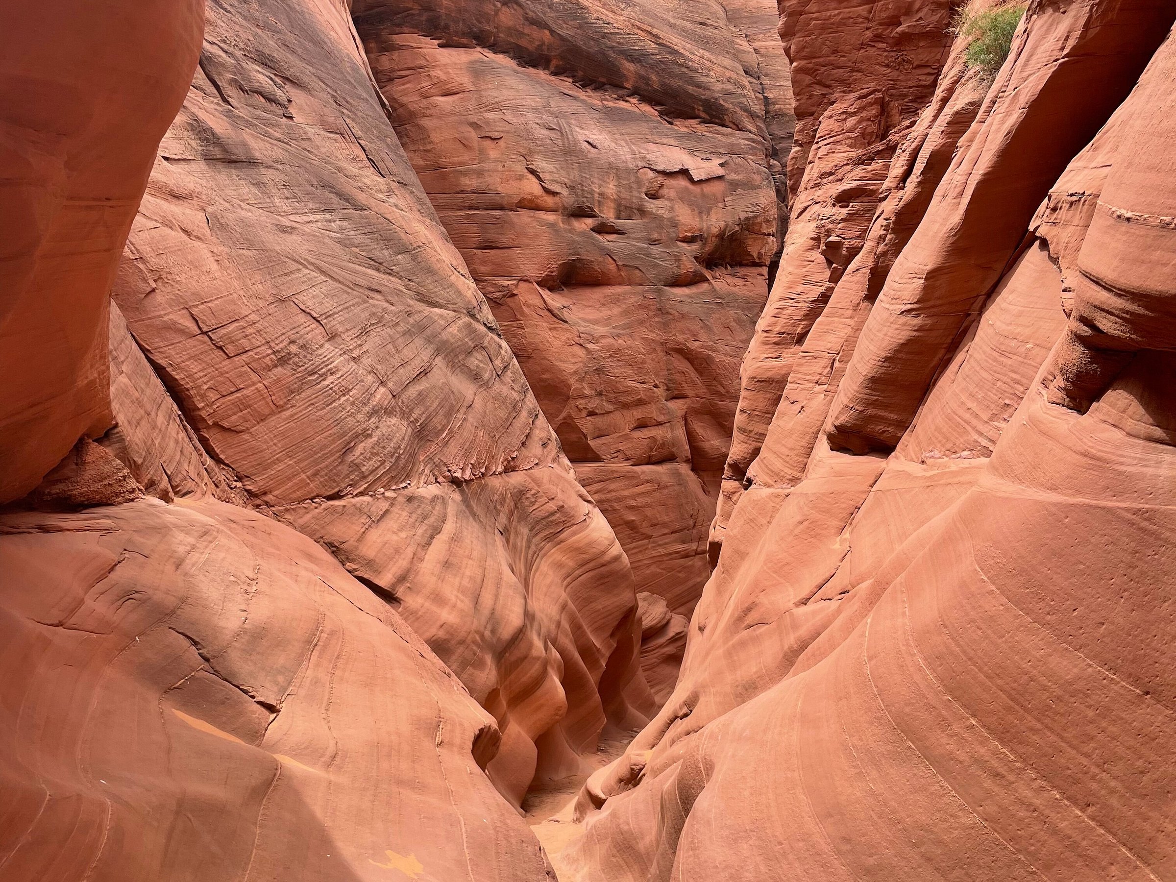 Kayak Lake Powell Rentals And Day Tours Page All You Need To Know Before You Go