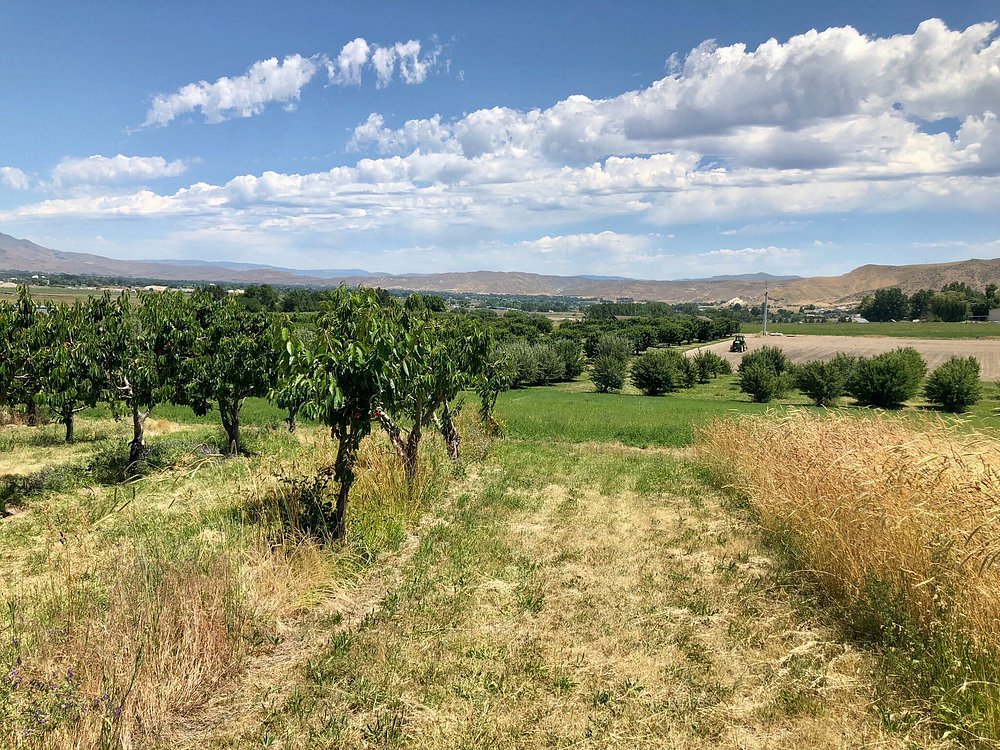 The 10 Best Things To Do In Emmett 2025 Must See Attractions