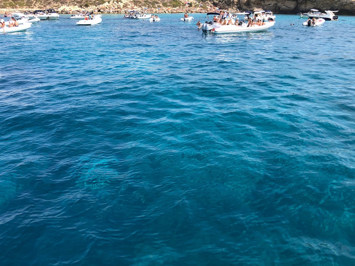 Eduardo Carriglio Escursioni in Barca (Isola di Favignana) - All You ... Eduardo Carriglio Escursioni in Barca (Isola di Favignana) - All You ...