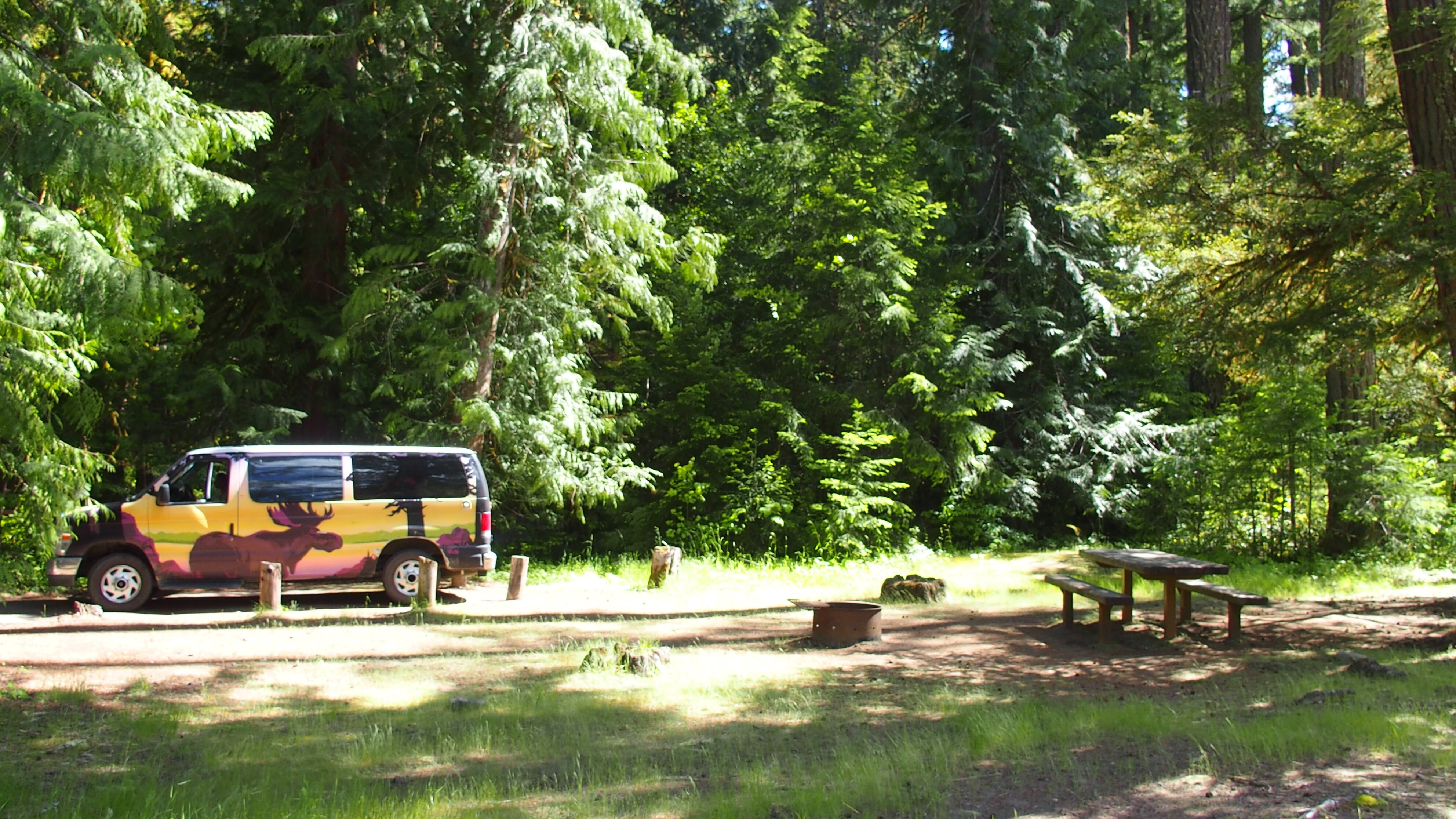 LA WIS WIS CAMPGROUND Randle WA Kamp alan Yorumlar Tripadvisor