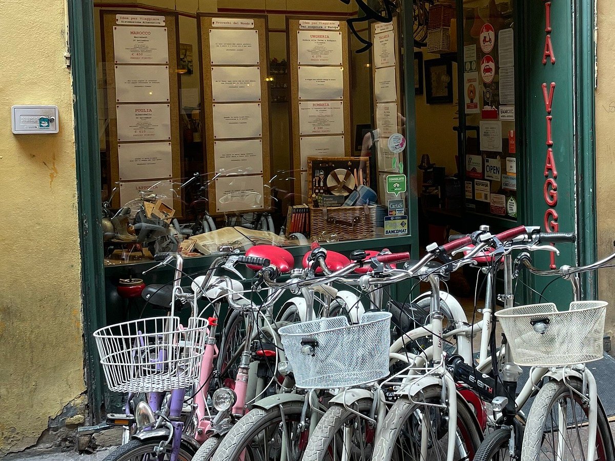Travelhoo Bologne Ce Quil Faut Savoir Pour Votre Visite Avec