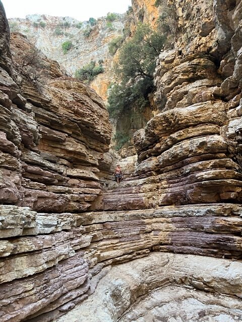 Jacobs Canyon Rodi 2022 Tutto Quello Che Cè Da Sapere