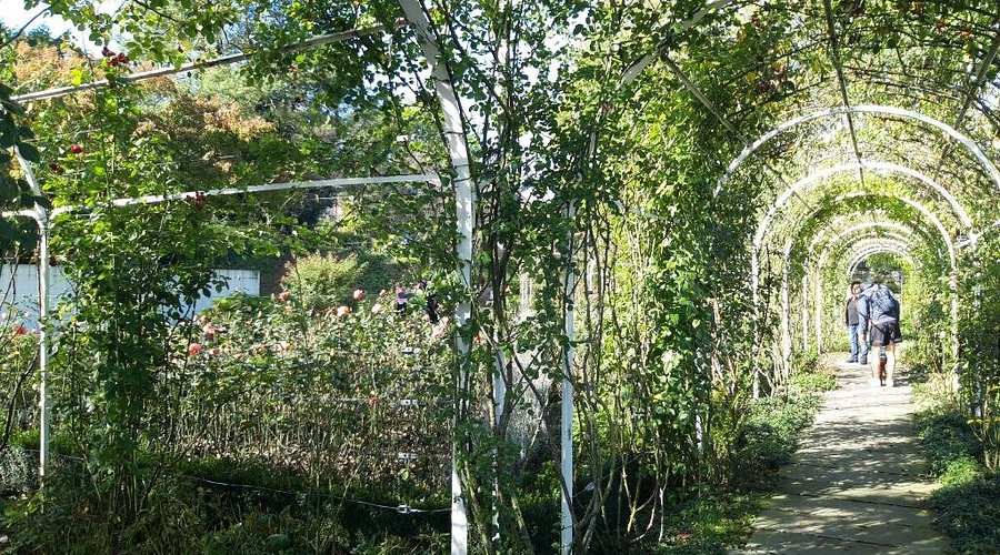 PARK IM GRÜNEN - GRÜN 80 (2025) All You Should Know BEFORE You Go (with ... PARK IM GRÜNEN - GRÜN 80 (2025) All You Should Know BEFORE You Go (with ...