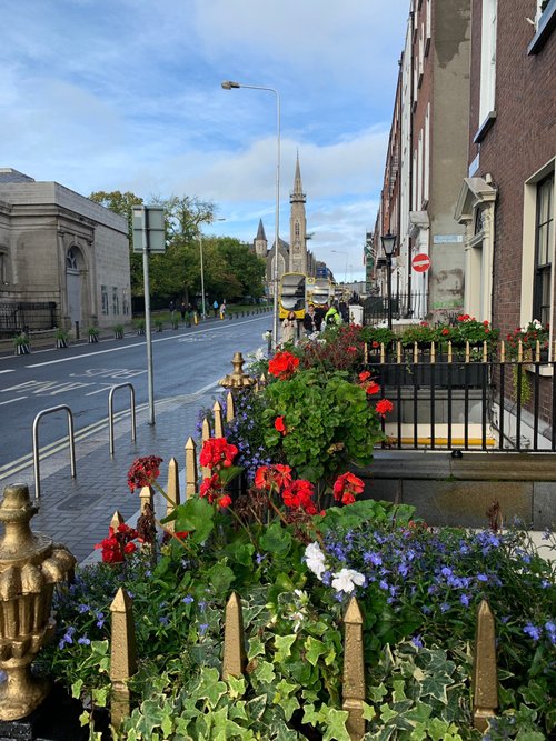 Cassidys Hotel 87 ̶1̶5̶3̶ Prices And Reviews Dublin Ireland