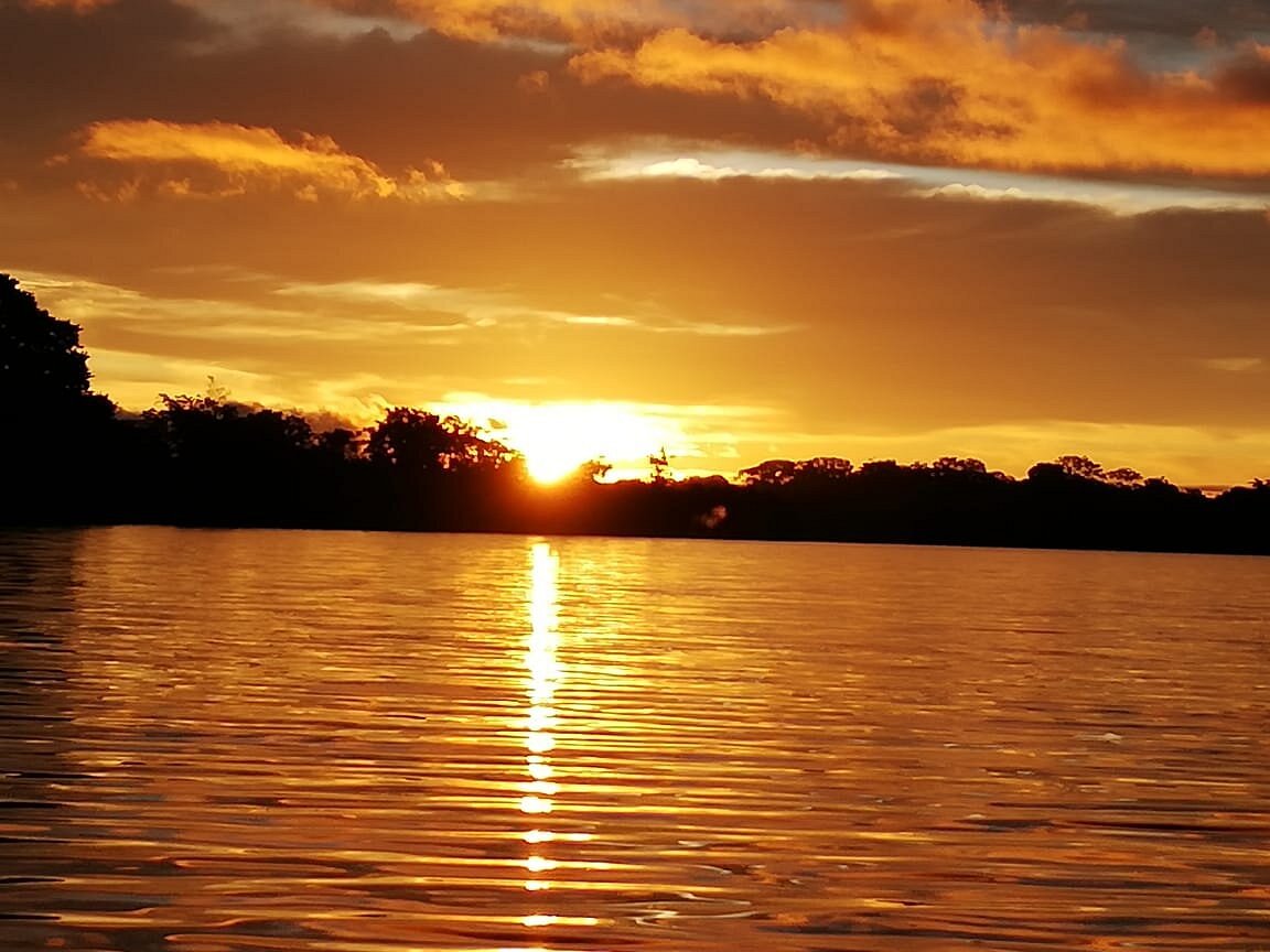 Puerto Nariño Lugar Pesebre Natural De Colombia (Puerto Narino) - Lohnt ... Puerto Nariño Lugar Pesebre Natural De Colombia (Puerto Narino) - Lohnt ...