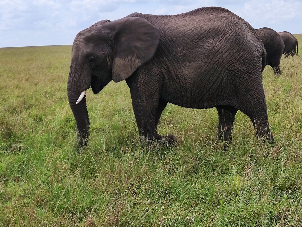 Holyland Africa Safaris 2025 All You Need To Know Before You Go With Reviews