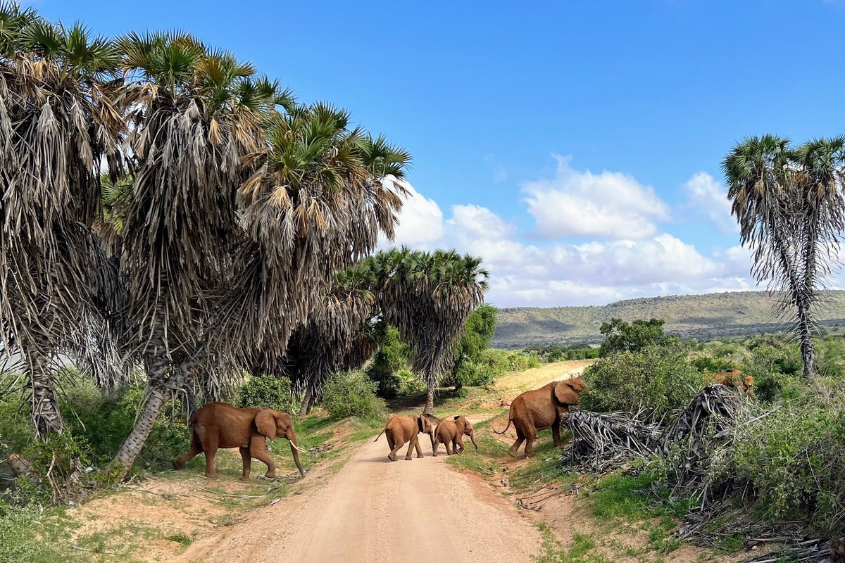 Latai Travel Kenya 나이로비 Latai Travel Kenya의 리뷰 트립어드바이저